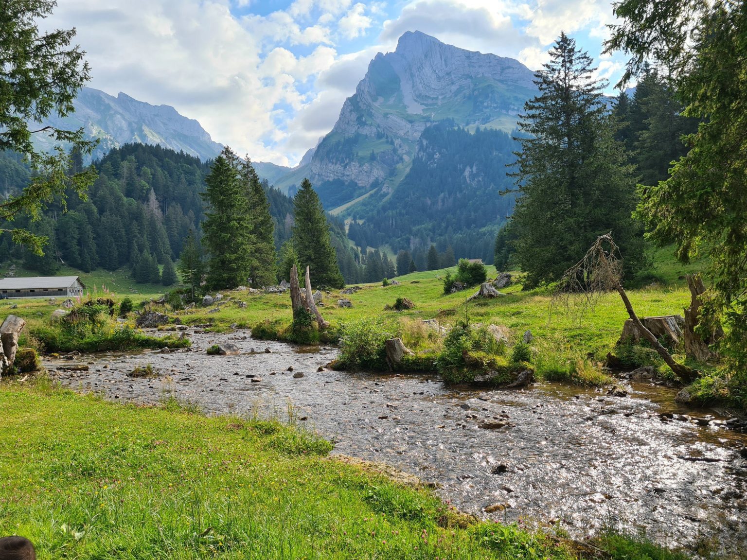 A Day trip and a Hike in Toggenburg, Switzerland with kids – These ...