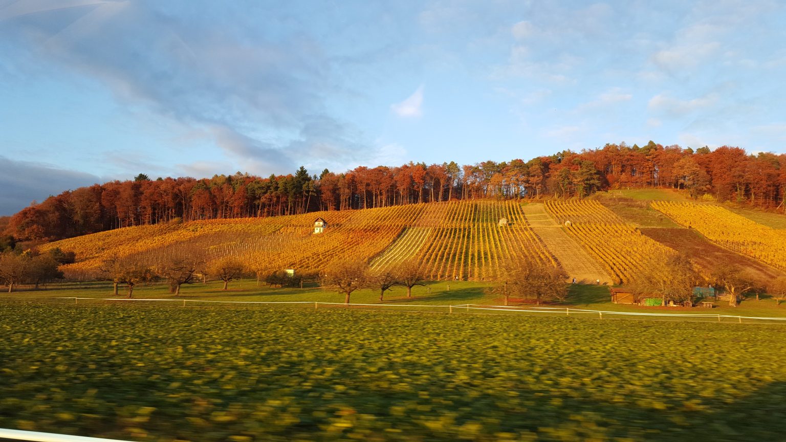 What we are looking forward to this fall! – These Fleeting Days