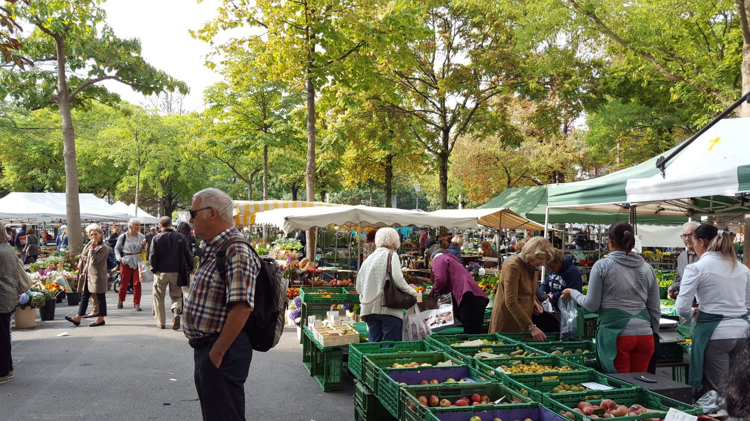What we are looking forward to this fall! – These Fleeting Days