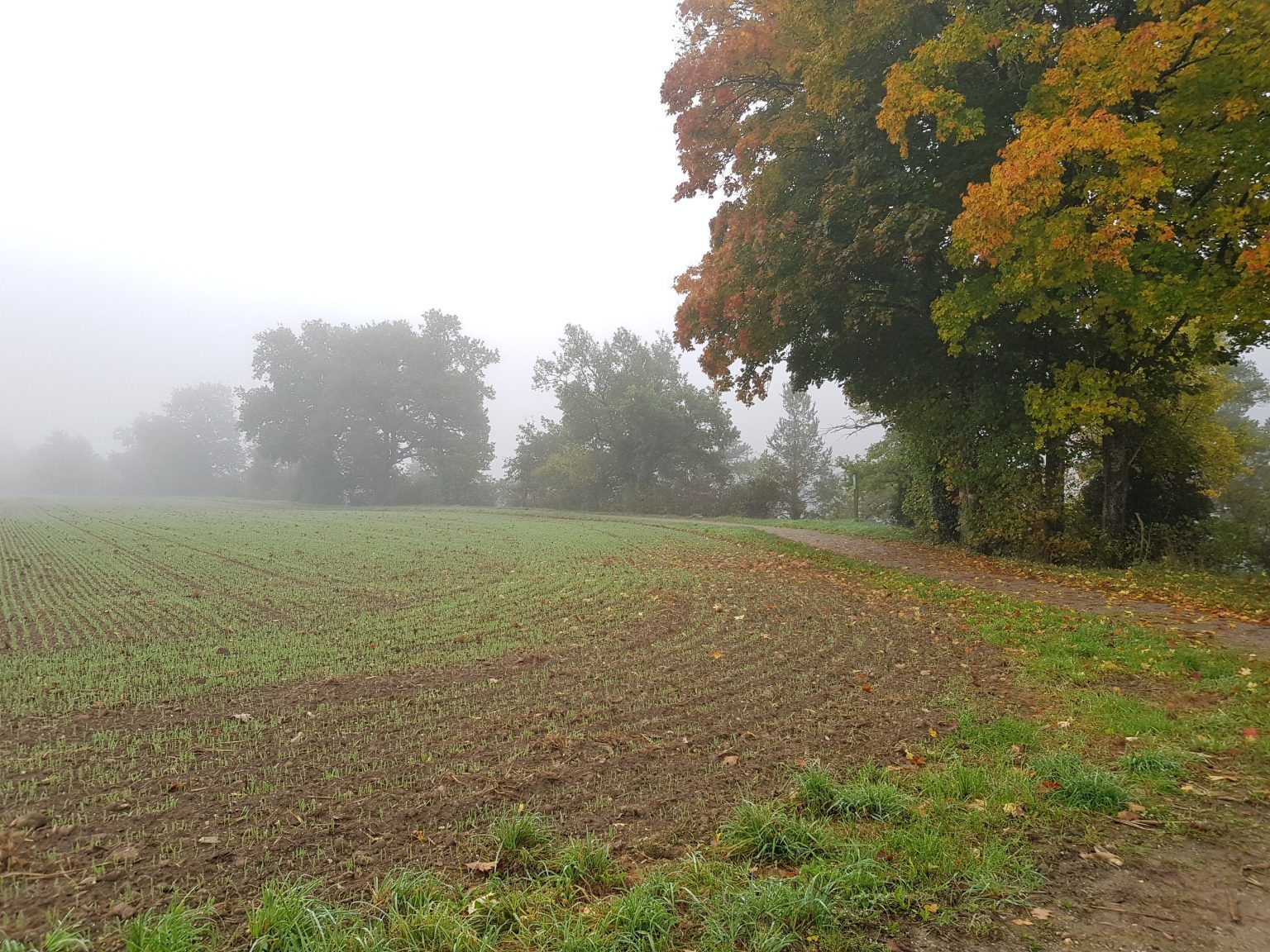 What we are looking forward to this fall! – These Fleeting Days