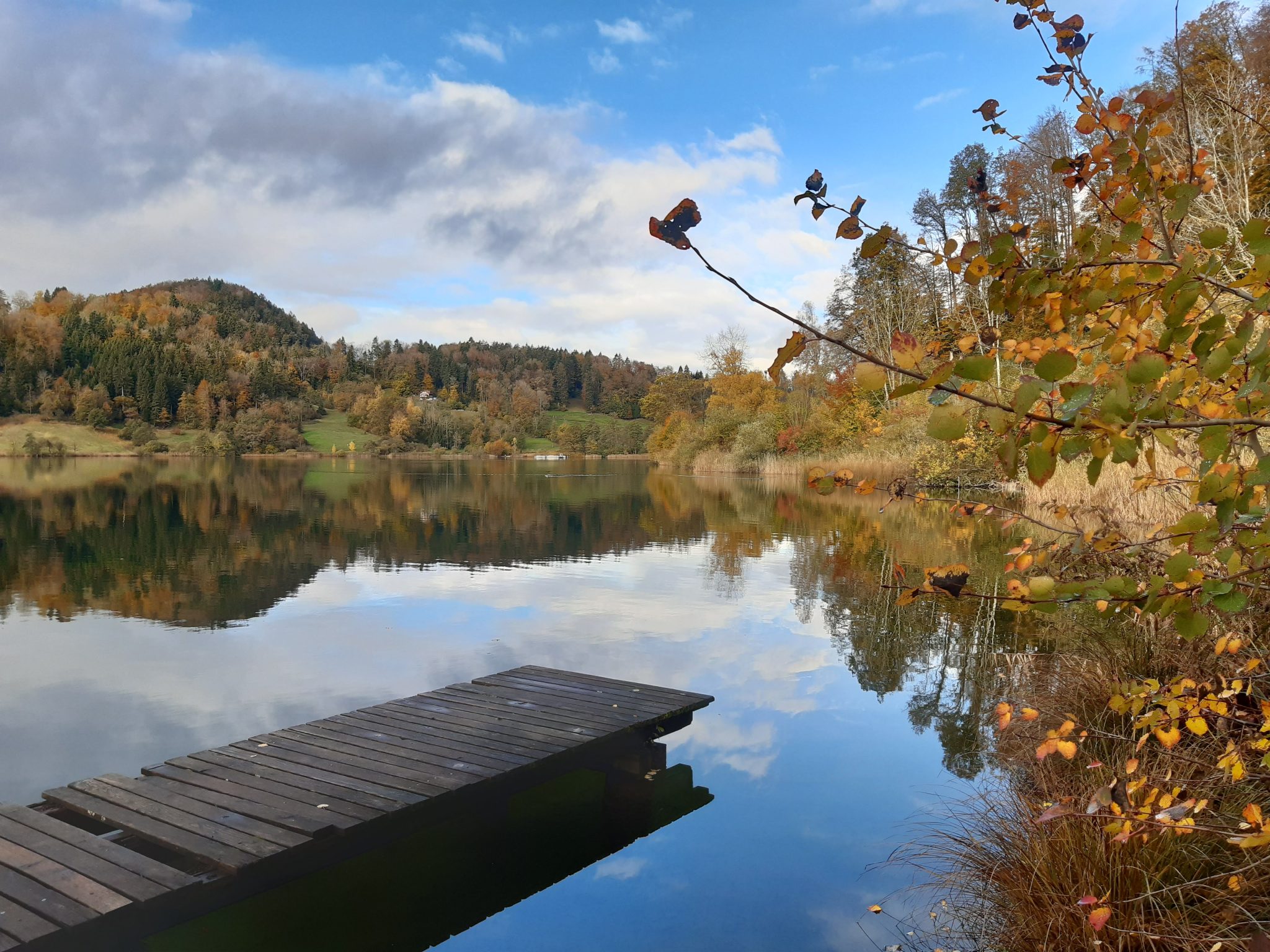 What we are looking forward to this fall! – These Fleeting Days